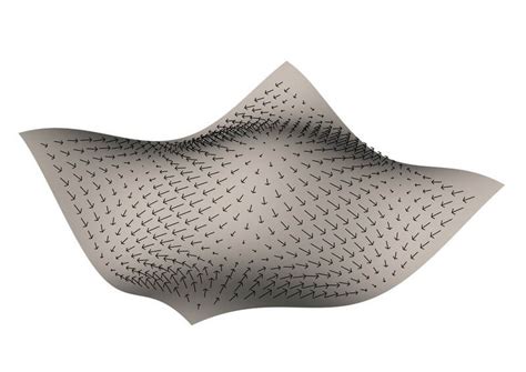 Docofossor Parametric House