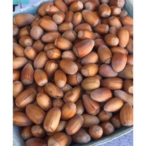Raw Hazelnuts Hazel Nut At ₹ 1200 Kg In New Delhi Id 2855657783512