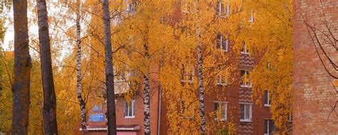 komarilka | photo & video | Фотографии и видеоматериалы автора ...