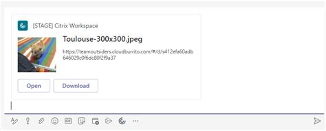 Poc Guide Citrix Workspace App For Microsoft Teams 知识库 文江博客