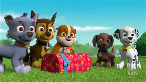Rocky Gallery Pups Save Ryders Surprise Paw Patrol Wiki Fandom