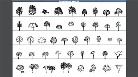 45 Deciduous Trees Elevation View Cad Blocks