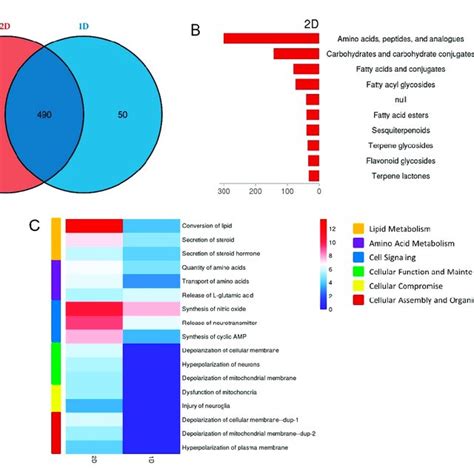 Urine Metabolomics Comparison Between 1d And 2d Separation Strategy Download Scientific