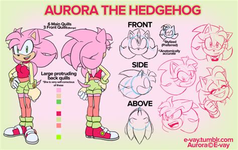 I Was Asked To Make A More Detailed Reference Sheet For Aurora And I