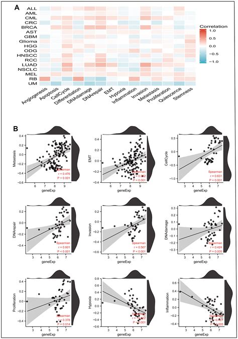 Multi Omics Analysis Of Mrpl 13 As A Tumor Promoting Marker From Pan
