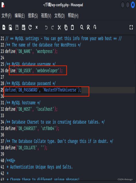 网络渗透ctf实践：获取靶机web Developer 文件rootflagtxt中flag Csdn博客