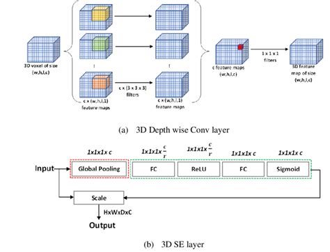 a 3d depth wise conv layer and b 3d se layer download scientific