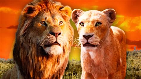 What Happens To Simba And Nala After The Lion King