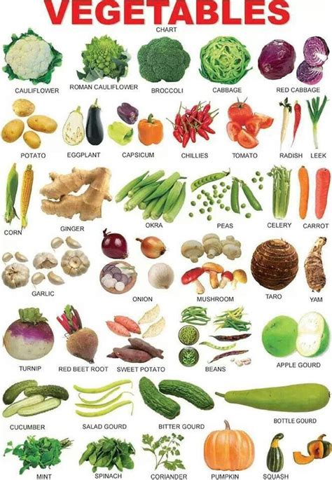 Vegetables Vocabulary In English Vegetable Chart List Of Vegetables Healthy Recipes