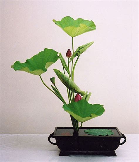 30 Pictures Of Japanese Art Of Flower Arrangement Ikebana Ikebana