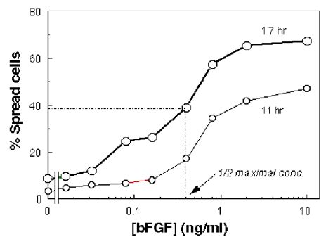 Dose Response Of Bfgf Induced Cell Spreading Cell Spreading Was