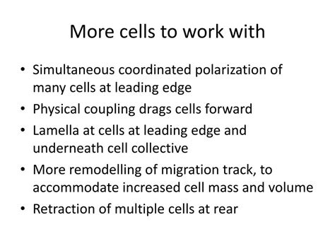 Ppt Cell Migration Powerpoint Presentation Free Download Id746755