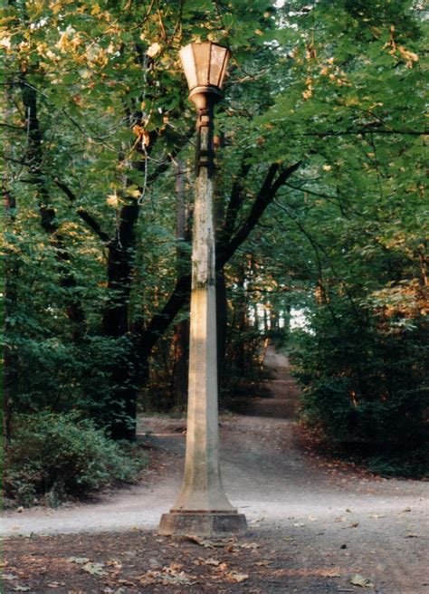 What Is The Significance Of The Lamp Post In Narnia At Walter Lawrence Blog