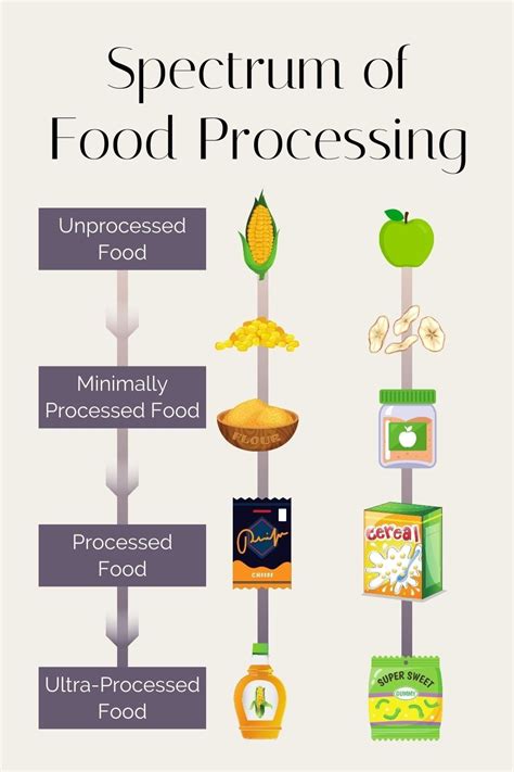 The Spectrum Of Food Processing Unprocessed To Ultra Processed