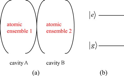 A Diagram Of Two Coupled Cavities B Level Configuration Of Atom Download Scientific Diagram