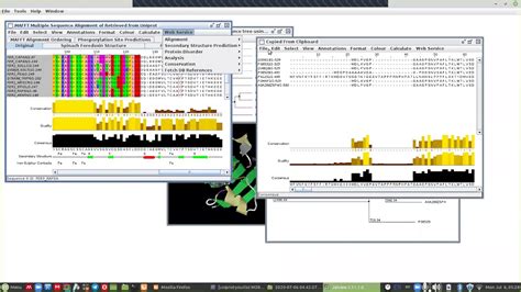 bioinformatic بالعربي jalview software 2 youtube
