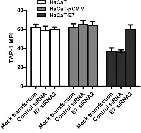 Rna Interference Of Human Papillomavirus Type 16 E7 Increases Hla Class