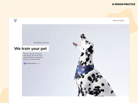 Ui Practice By Abhinab Pattjoshi On Dribbble