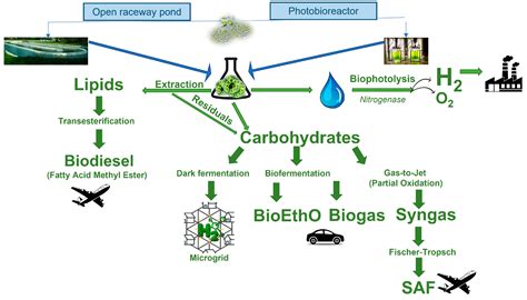 Advancements And Prospects In Algal Biofuel Production A Comprehensive