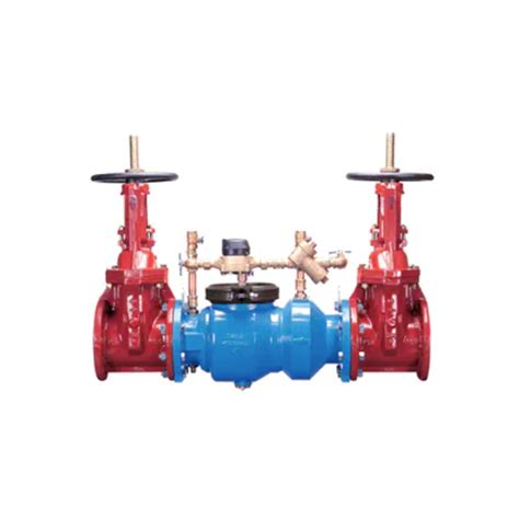 What Is A Double Check Detector Assembly At Douglas Byrd Blog