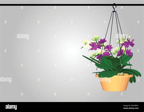 Spring Colorful Flowers In Pots Vector Stock Vector Image And Art Alamy