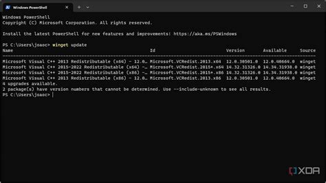 Package Manager Windows