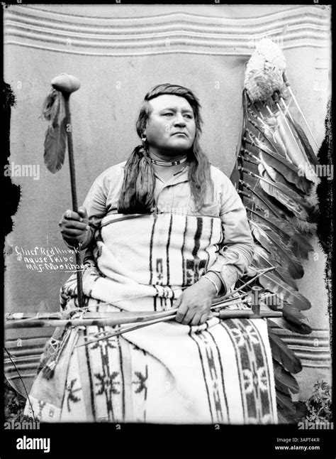 George Red Hawk A Cayuse Tribal Man Is Photographed In Traditional