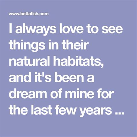 Build A Biotope Tank For Your Betta Fish