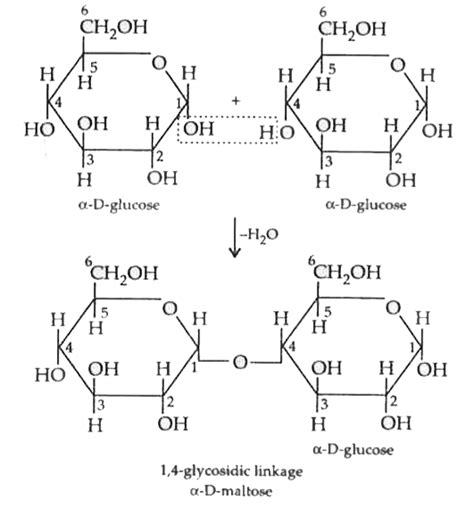 Alpha Maltose