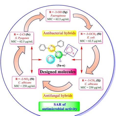 Effect Of Various Functional Groups On Antimicrobial Activity Due To