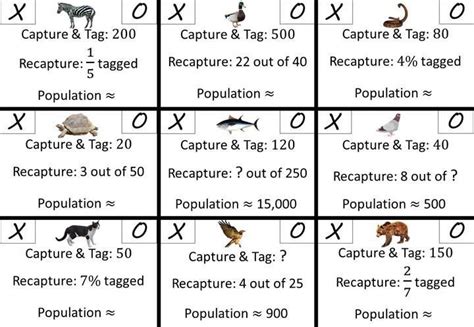 Why Does The Capture Recapture Method Work