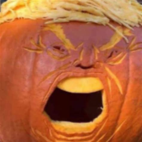 Zayden Mikel Youtube