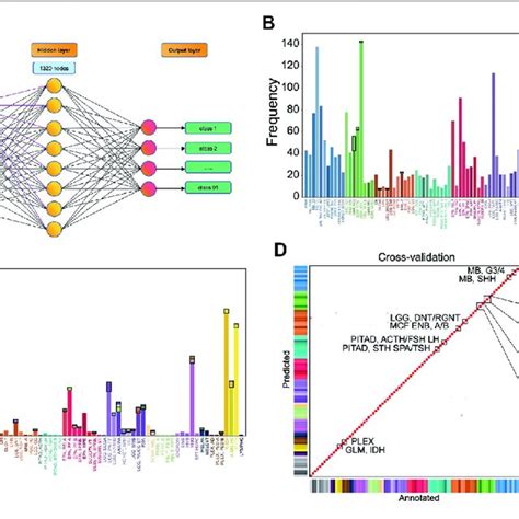 Classification Performance Of The Mlp Model A The Three Layer Download Scientific Diagram