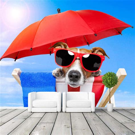 [100 ] Sommar Bilder