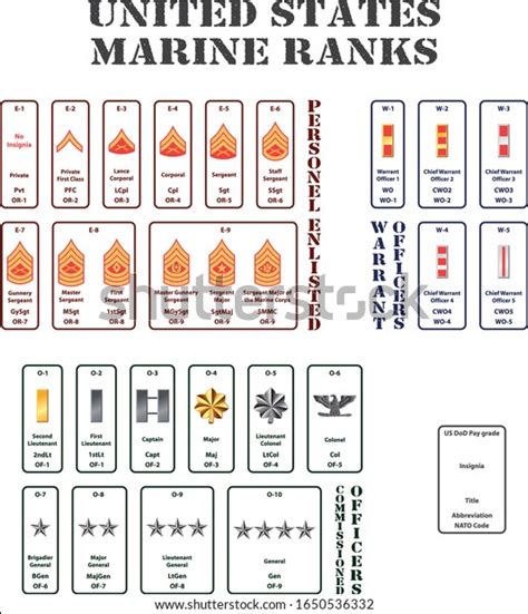 727 Marine Corps Rank Stock Vectors And Vector Art Shutterstock