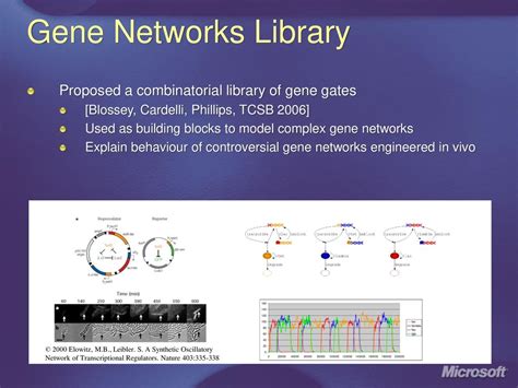 Simulating Biological Systems In The Stochastic P Calculus Ppt Download