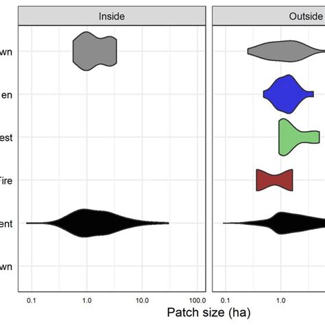 Violin Plot Displaying The Patch Size Distribution Of Disturbances By Download Scientific