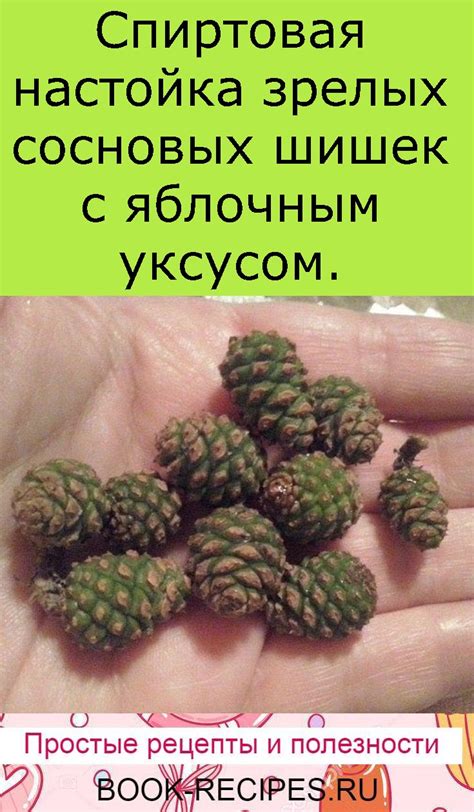 Спиртовая настойка зрелых сосновых шишек с яблочным уксусом.