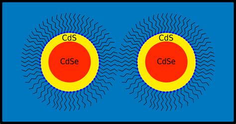 Schematic Representation Of Core Shell Ncs With Surfaces Sterically