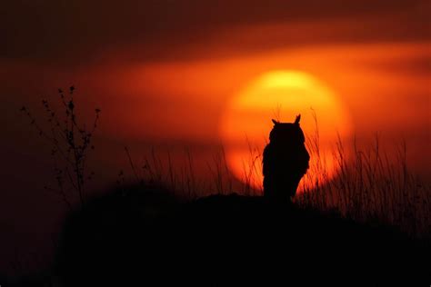 Saurabh Desai Insearch Pk