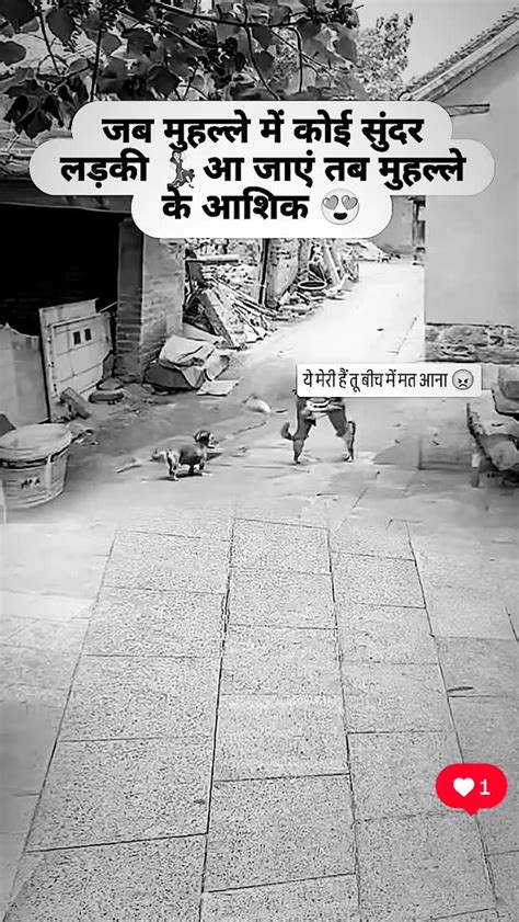 mohit saini funny funnymemes funnymovement funnyvideo funnycomic
