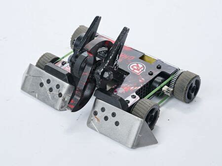 Chainsaw Kitty Nhrl