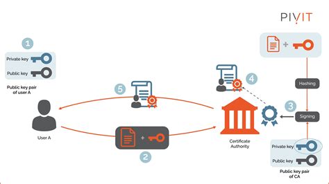 What Is Public Key Infrastructure And How Important Is It