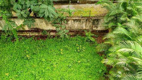 Xiaomi Redmi 3S Prime Review Plenty Of Hits A Few Misses Neowin