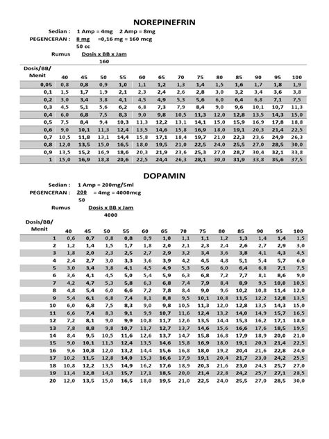 Drip Obat Norepinefrin Pdf