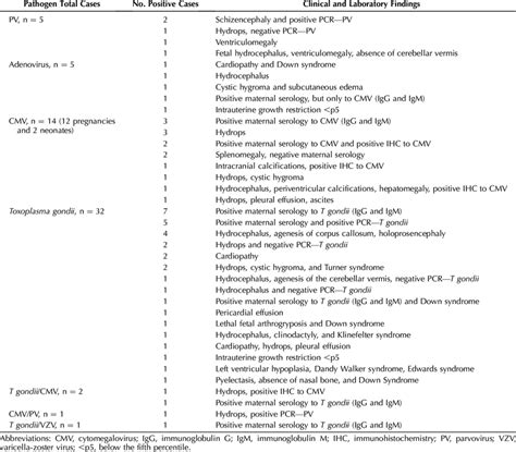 Description Of The 60 Cases Positive By Multiplex Nested Polymerase