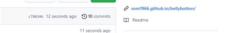 GitHub Som1966 BellyButton