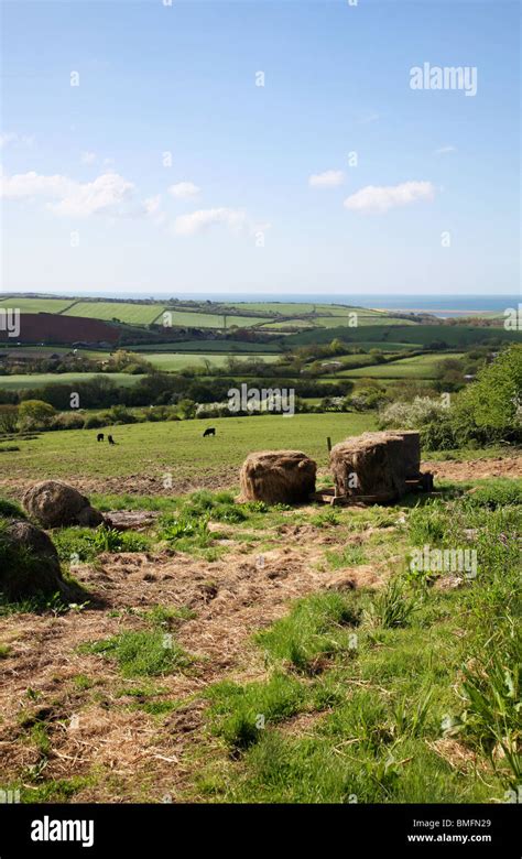 Friar Waddon A Small Hamlet On The Road Between Upwey And Portesham