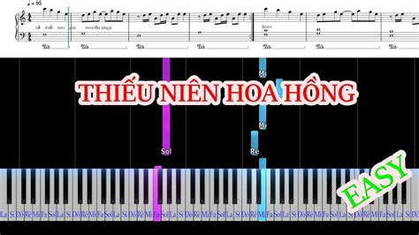 Thiếu Niên Hoa Hồng Piano For Beginner Youtube