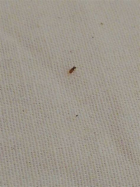 What Are These And How Do I Get Rid Of Them More Info In Comments Scrolller